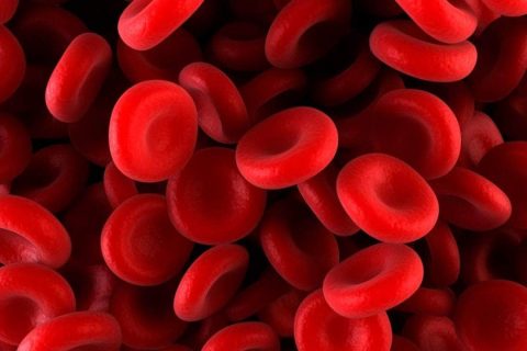 Globules blancs élevés, neutrophiles : symptômes et traitement